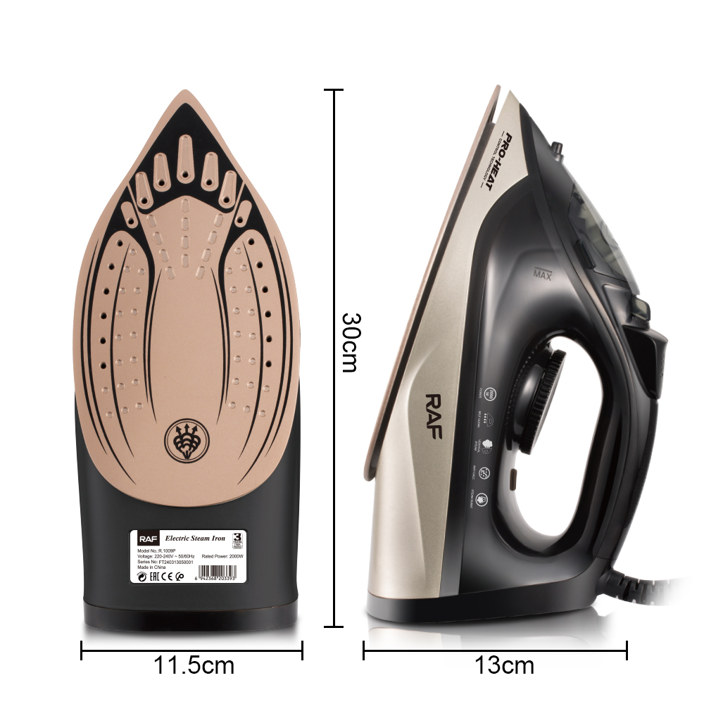 electric steam iron - RAF