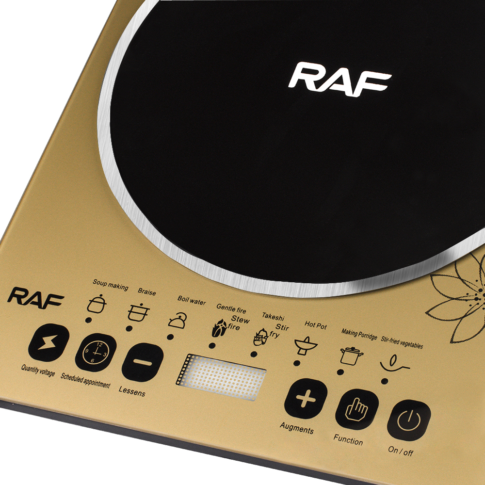 INDUCTION COOKER - RAF